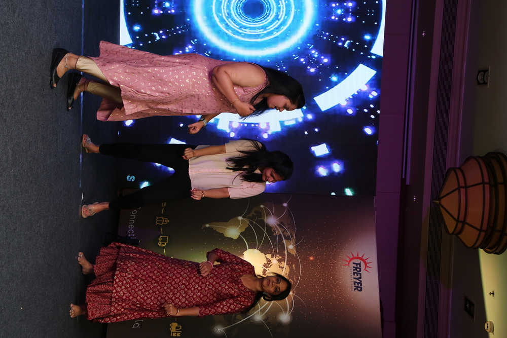 Freyer International Logistics Pvt Ltd